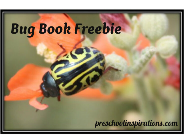 A Must Have Bug Book *Freebie* - Preschool Inspirations
