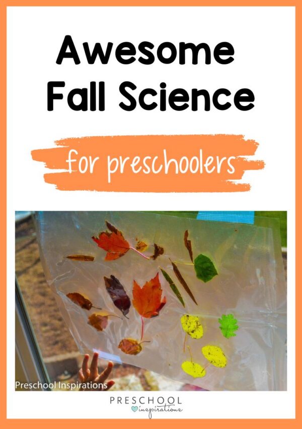 Awesome Preschool Science for Fall - Preschool Inspirations