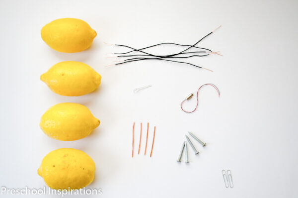 Using Lemons to Make Batteries - Preschool Inspirations
