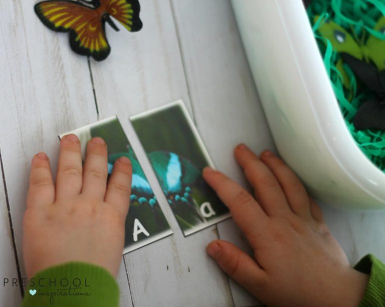 Butterfly Alphabet Match Sensory Bin - Preschool Inspirations