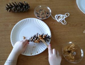 How To Make Pine Cone Bird Feeders with Preschoolers