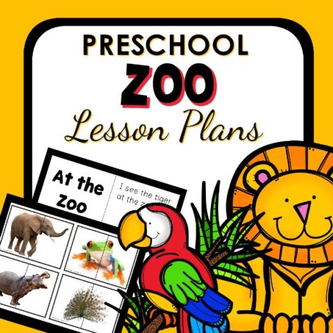 June Preschool Themes You'll Love! - Preschool Inspirations
