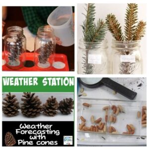 Must-Try Simple Fall Science Activities - Preschool Inspirations